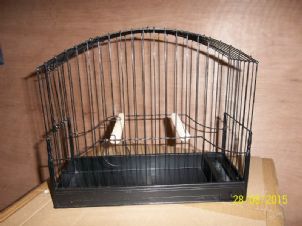 USED FIFE / BORDER CANARY SHOW CAGE